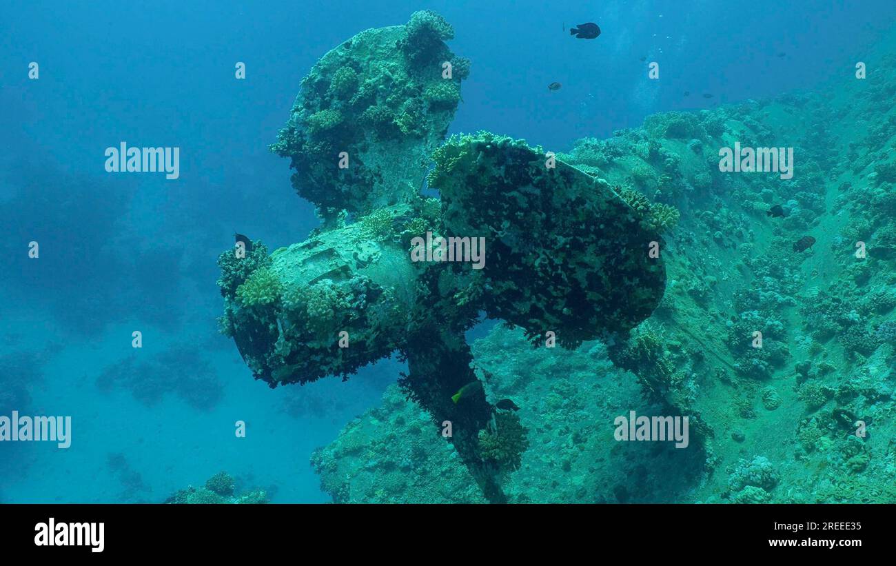 Propeller of ferry Salem Express shipwreck, Red sea, Safaga, Egypt ...