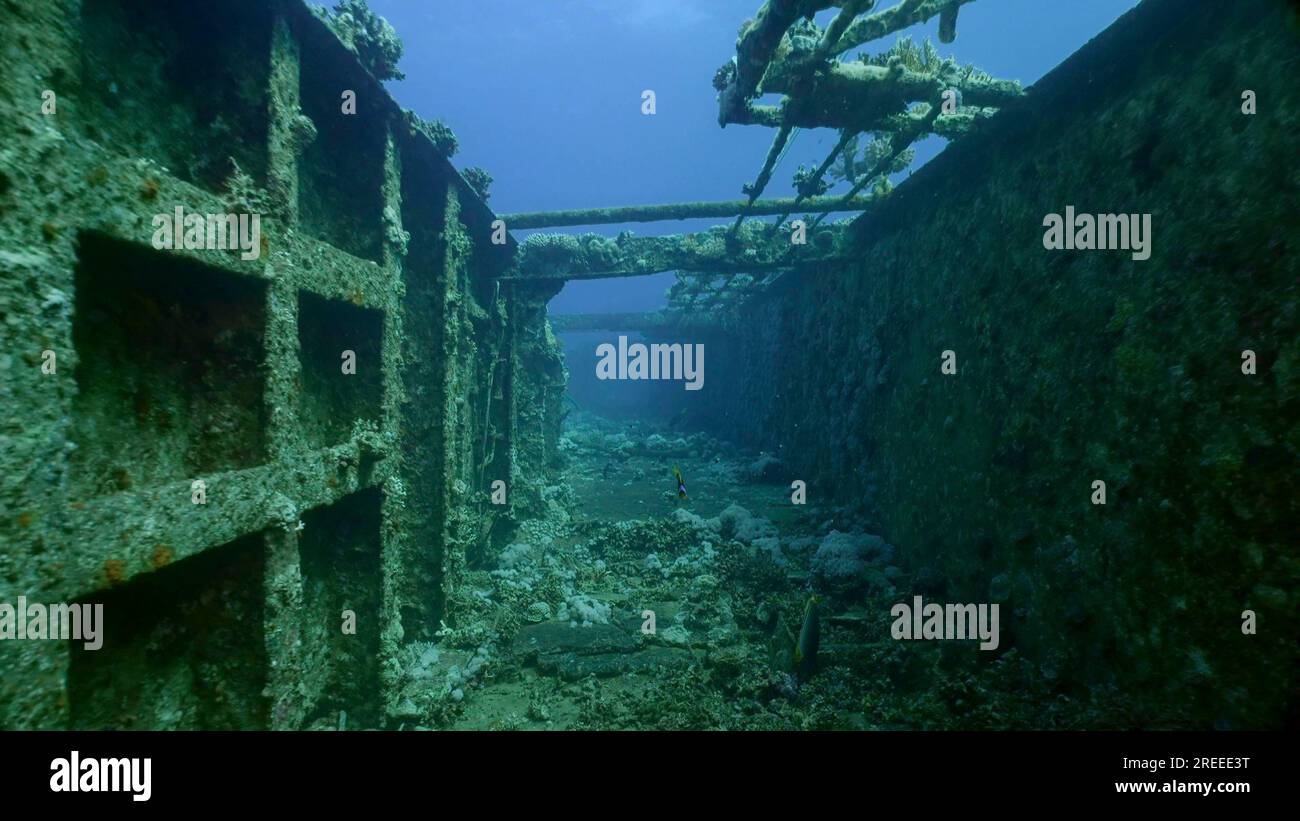 Deck grown with corals of ferry Salem Express shipwreck on blue water ...