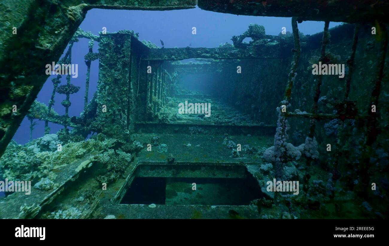 Deck grown with corals of ferry Salem Express shipwreck on blue water ...