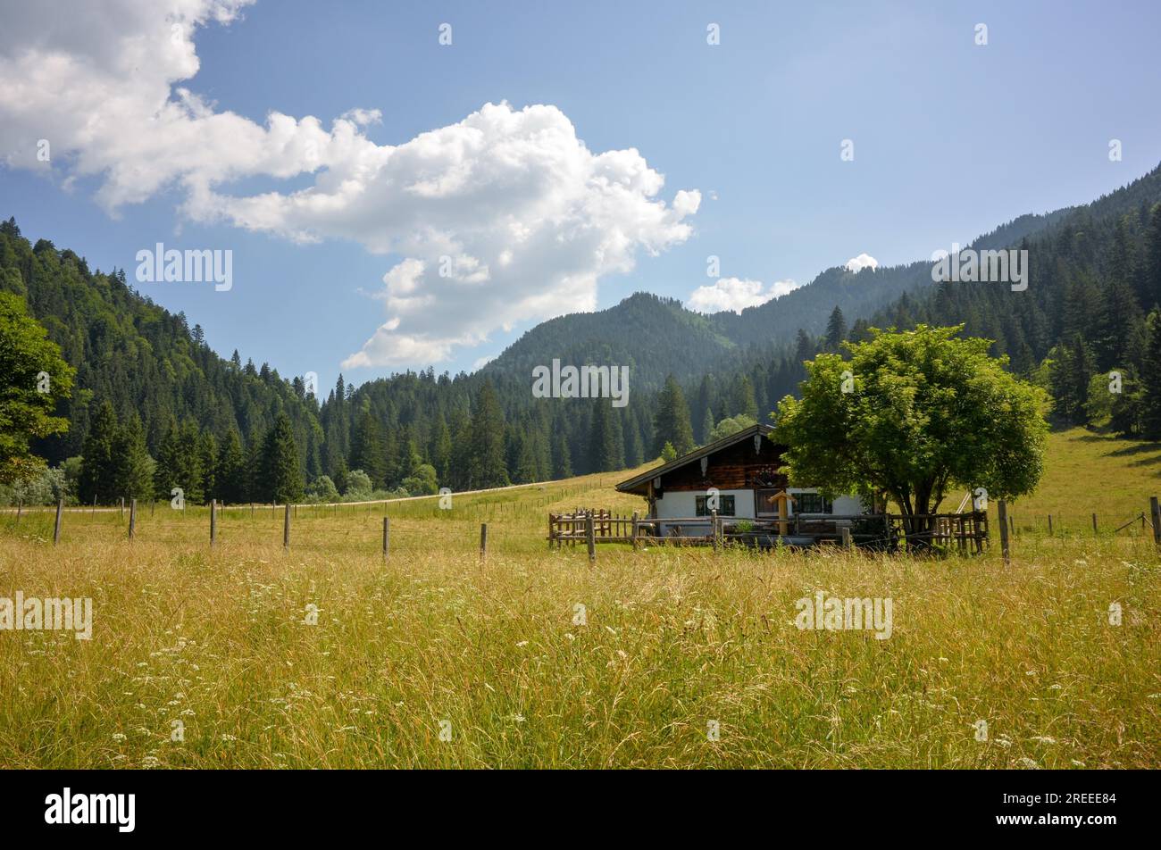 Idyllic alpine hut on the Roetelmoosalm below the Hoerndlwand, Chiemgau ...