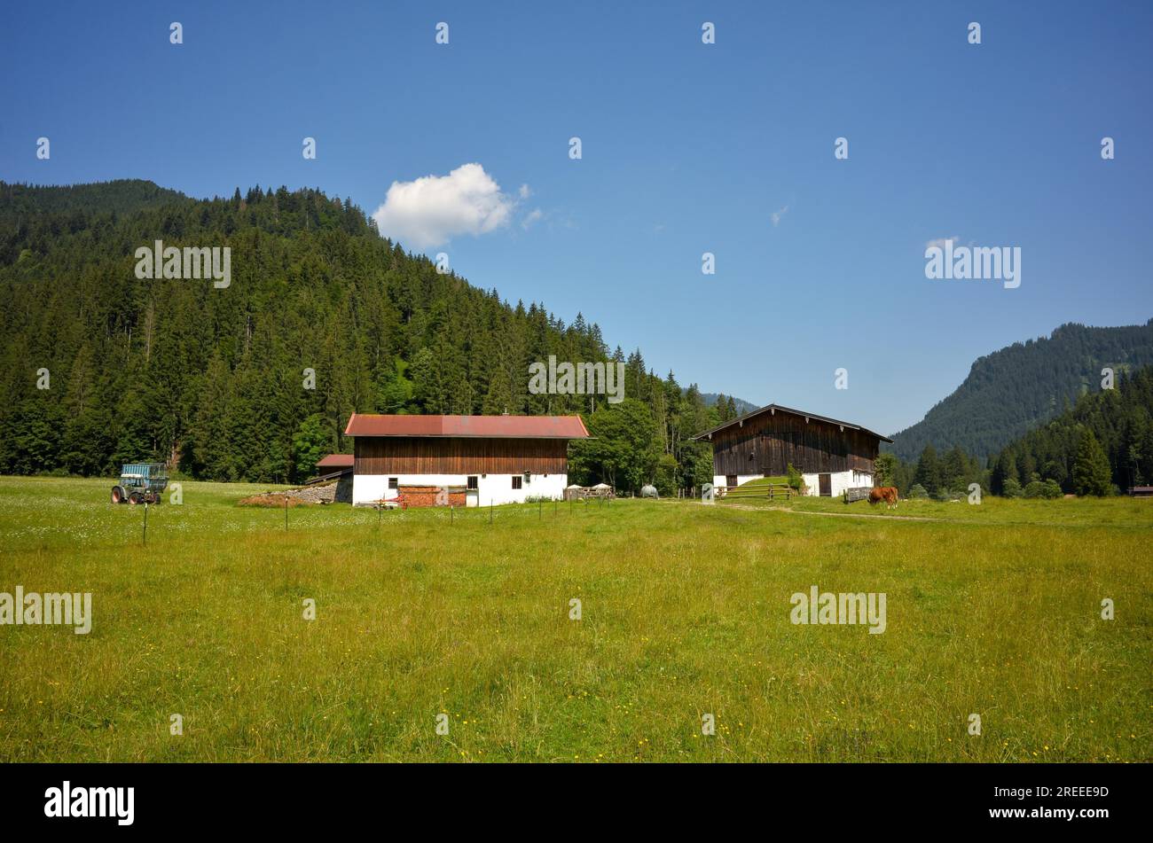 Traditional farm with tractor on the Roetelmoosalm in the Chiemgau ...