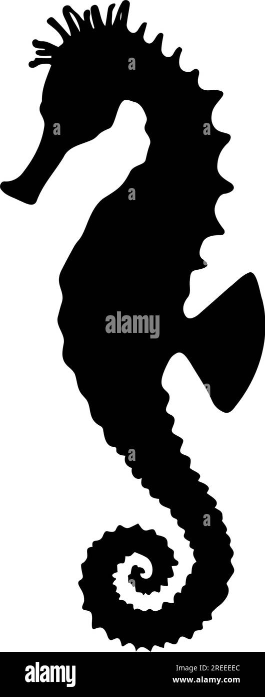 Seahorse silhouette isolated. vector illustration Stock Vector Image ...