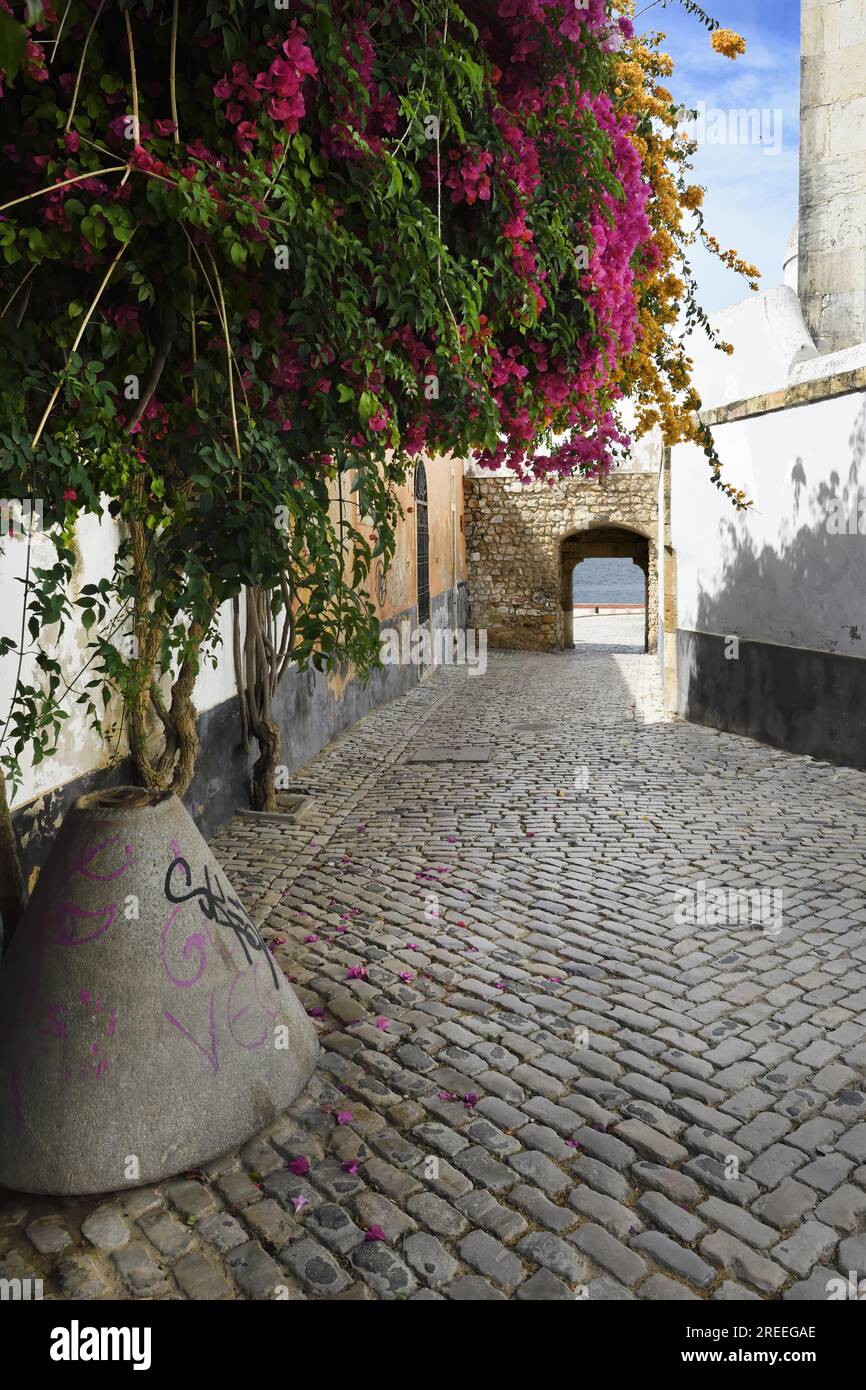 Narrow Street leading to the Porta Nova, Faro old town, Algarve ...