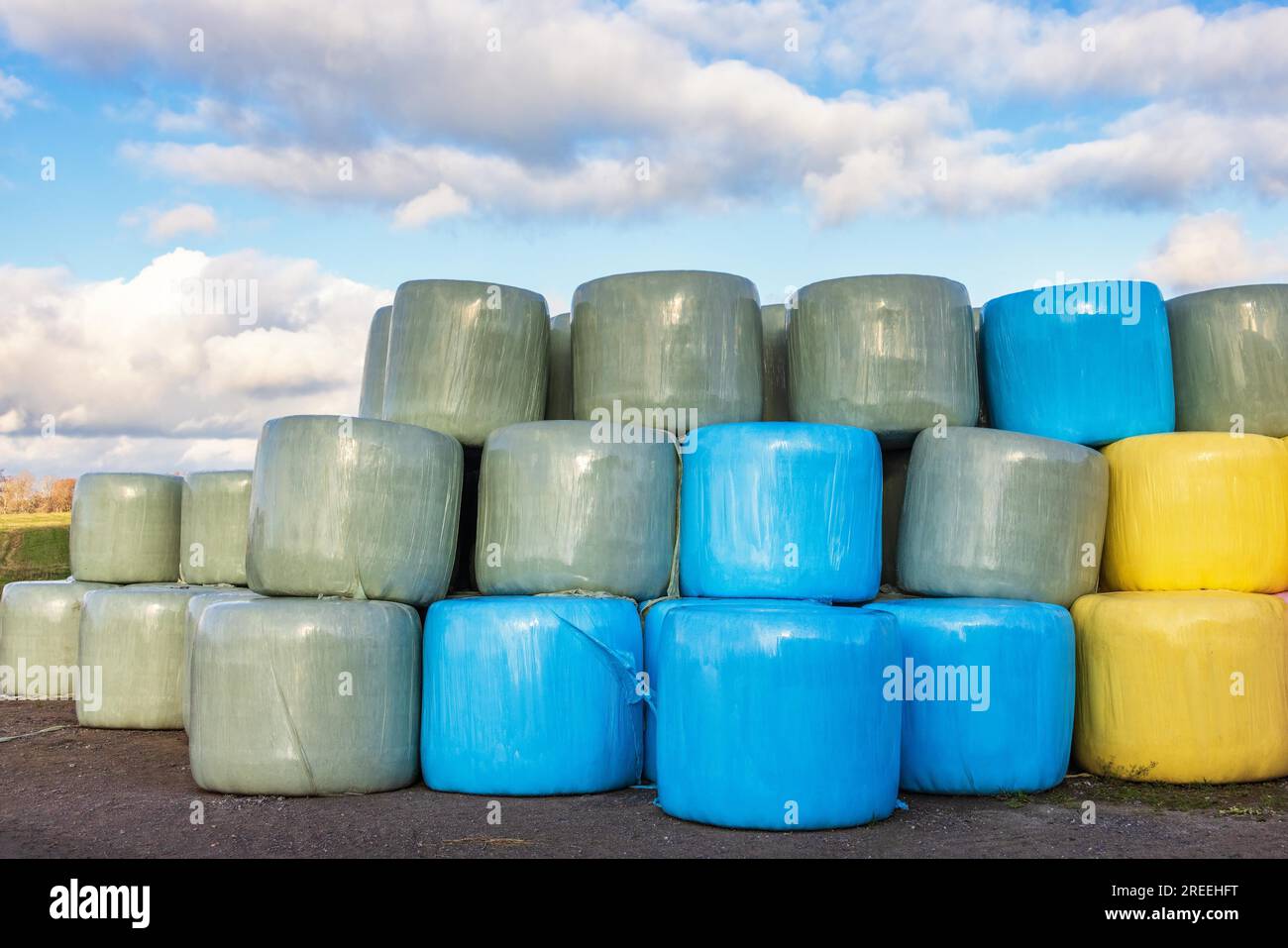 Colored silage bales in the countryside Stock Photo - Alamy