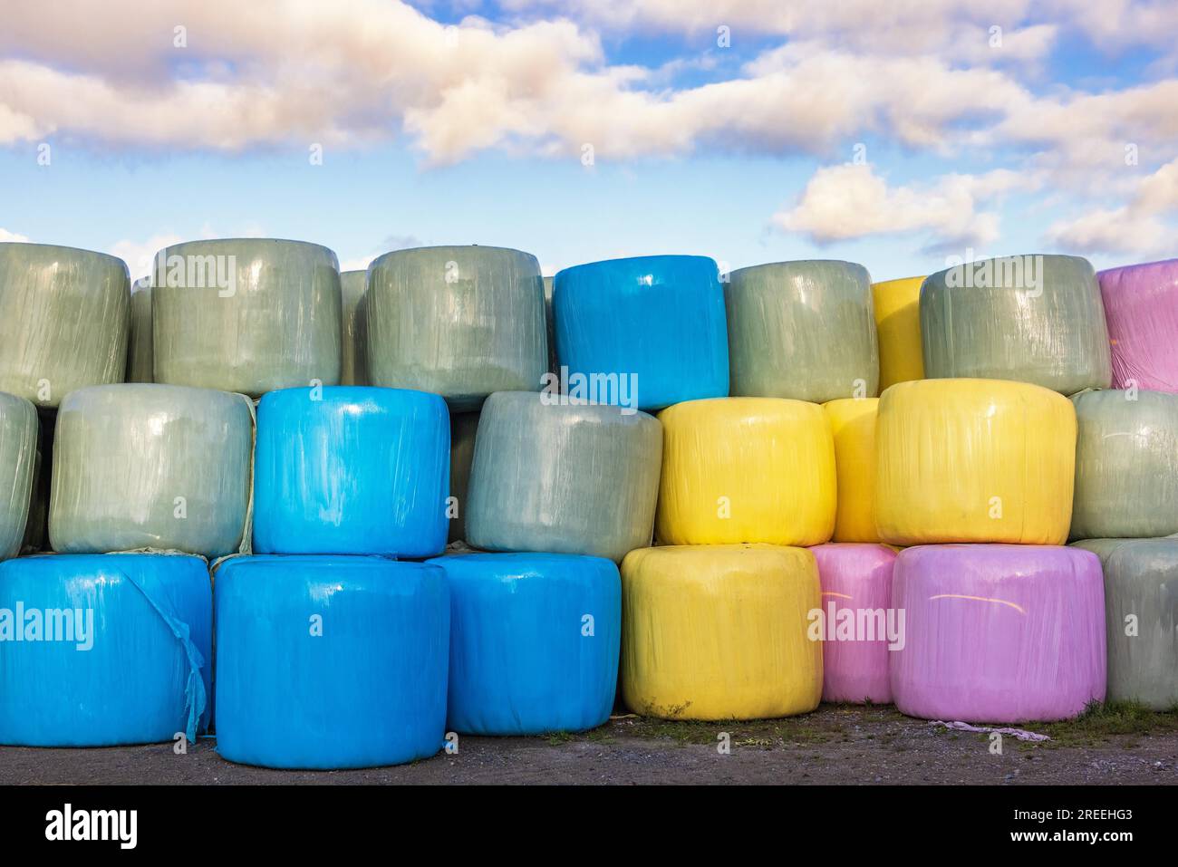 Colorful plastic silage bales in the countryside Stock Photo - Alamy