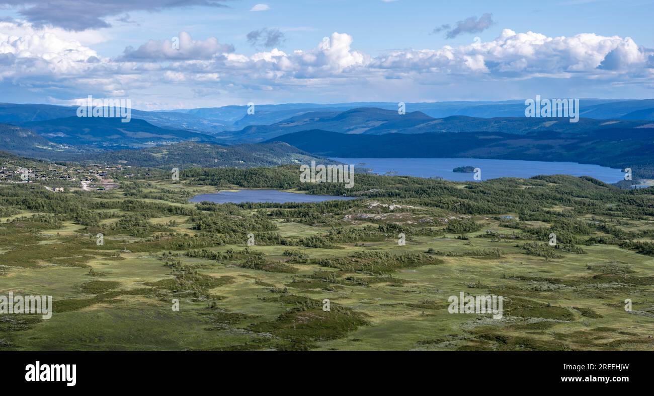 Tundra landscape with birch forests and lakes, Fjell, Oystre Slidre ...