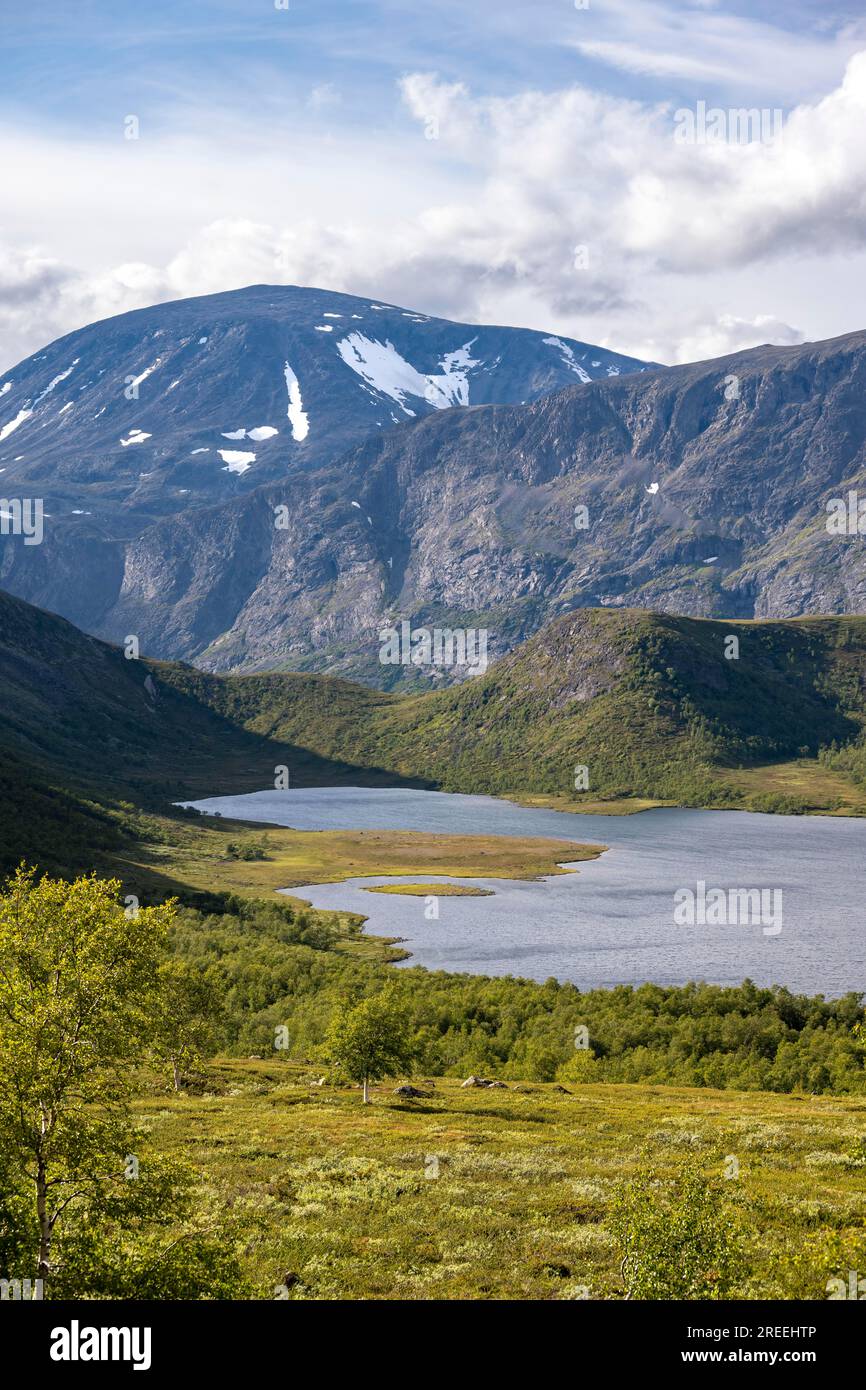 Barren mountain landscape with lake and birch trees, lake Leirungen ...