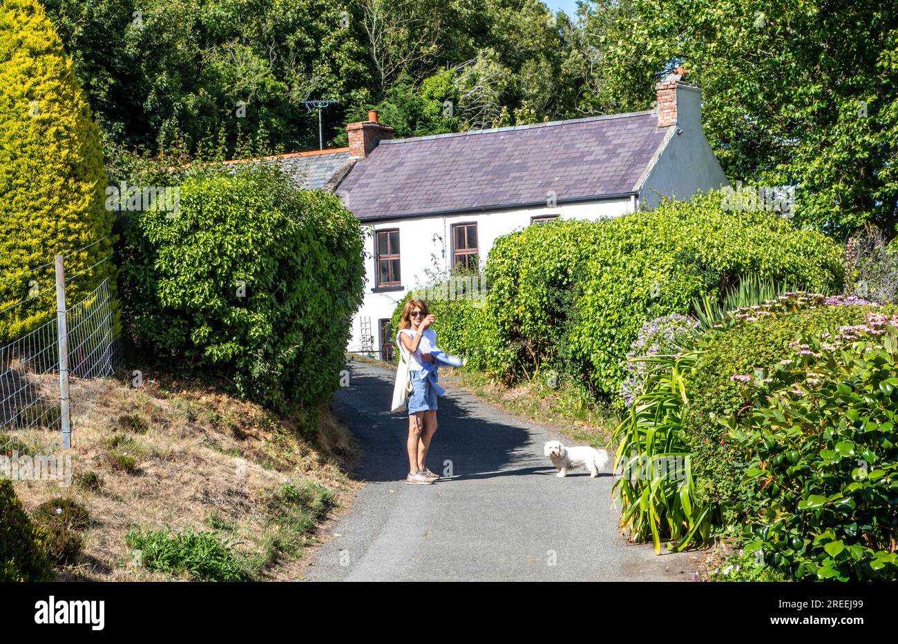 Traditional welsh cottage hi-res stock photography and images - Alamy