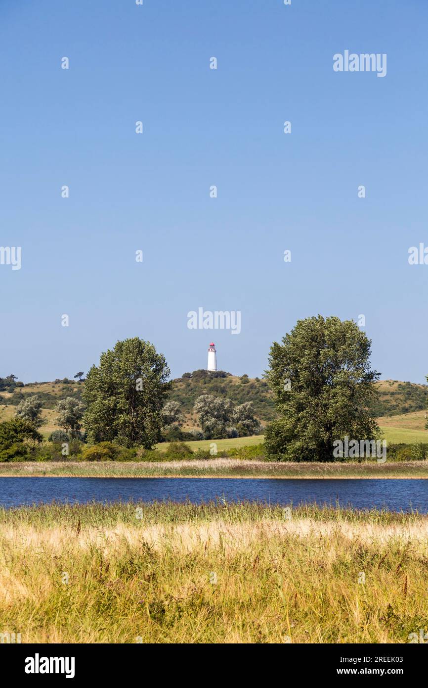 Landscape on HIddensee island with lighthouse in background Stock Photo ...