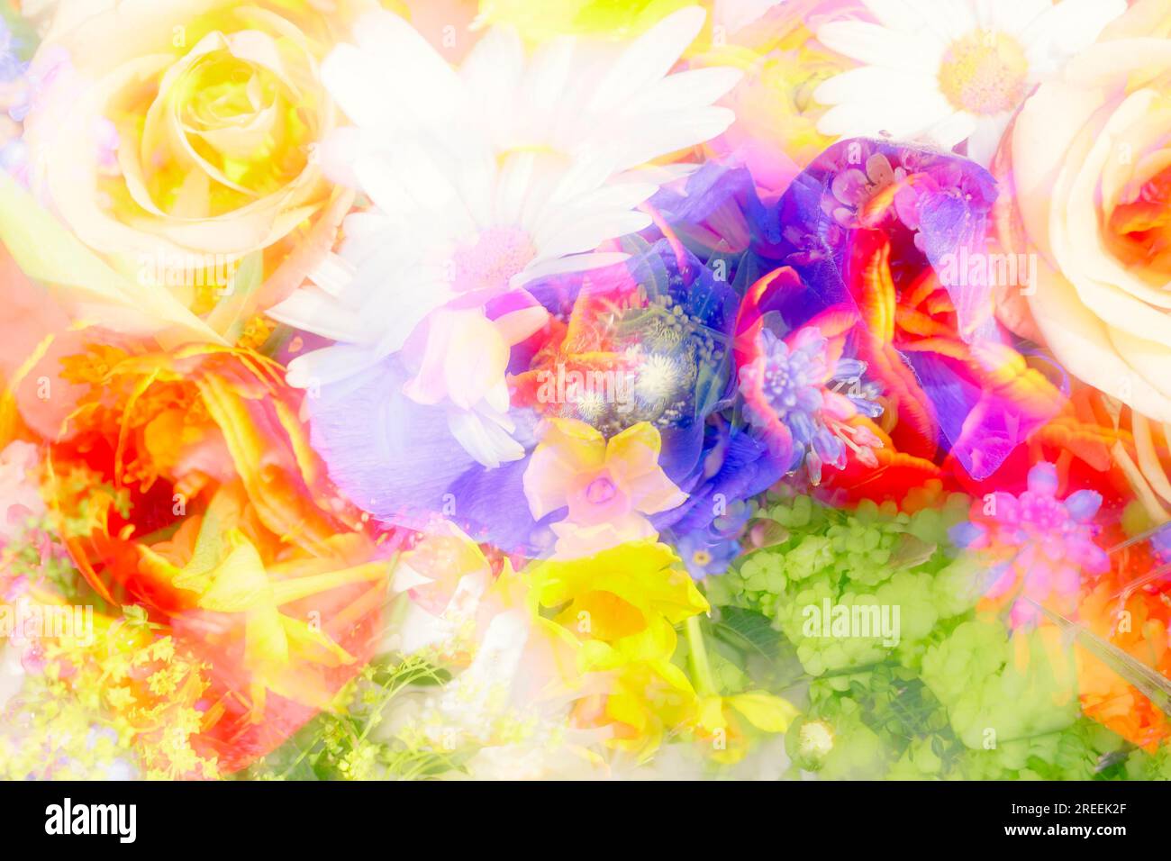 Blurred double exposure of flowers for backgrounds Stock Photo - Alamy