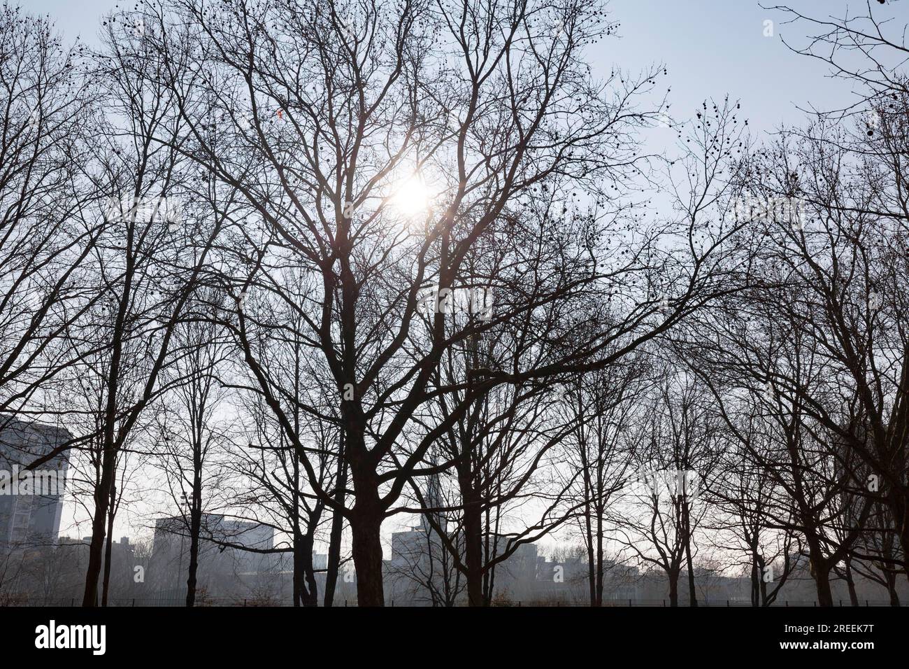 Skyline of Berlin Kreuzberg with sun and winter trees in front Stock ...