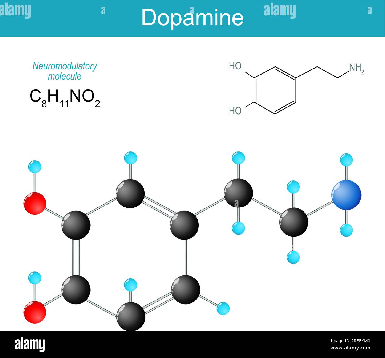 Dopamine Molecule Molecular Chemical Structural Formula And Model Of Monoamine Neurotransmitter