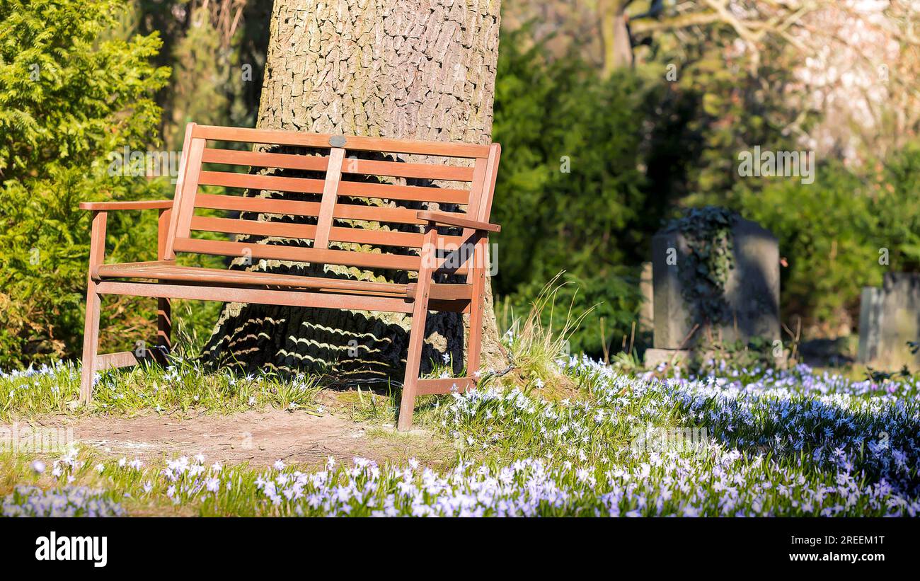 Idyllic place, bench and spring meadow Stock Photo - Alamy
