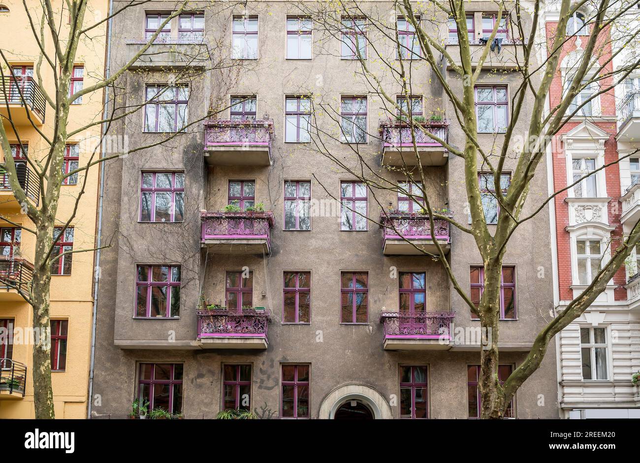 Two old trees in hi-res stock photography and images - Alamy