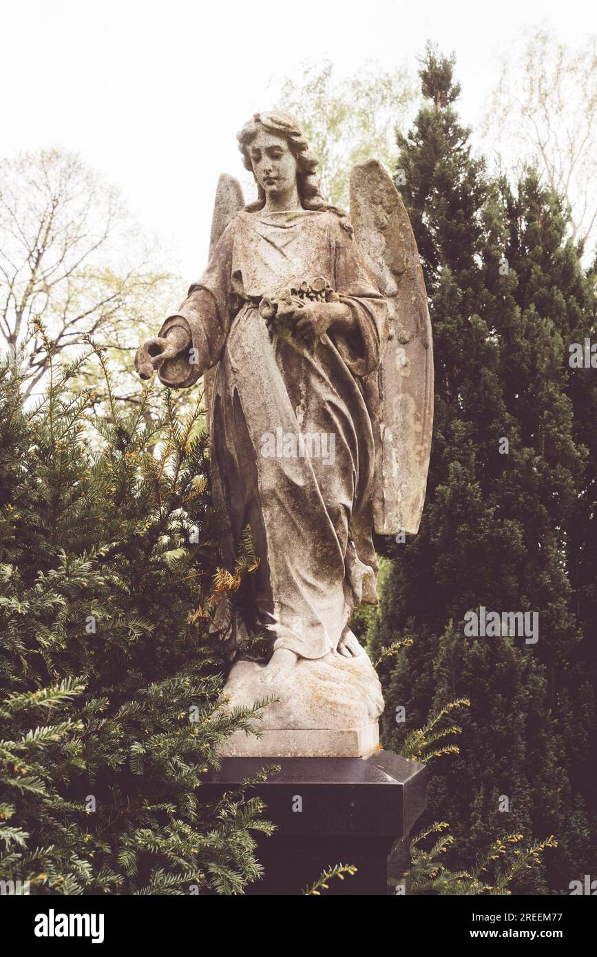 Old sculpture of an angel in nature. Unknown artist of the 19th Stock ...
