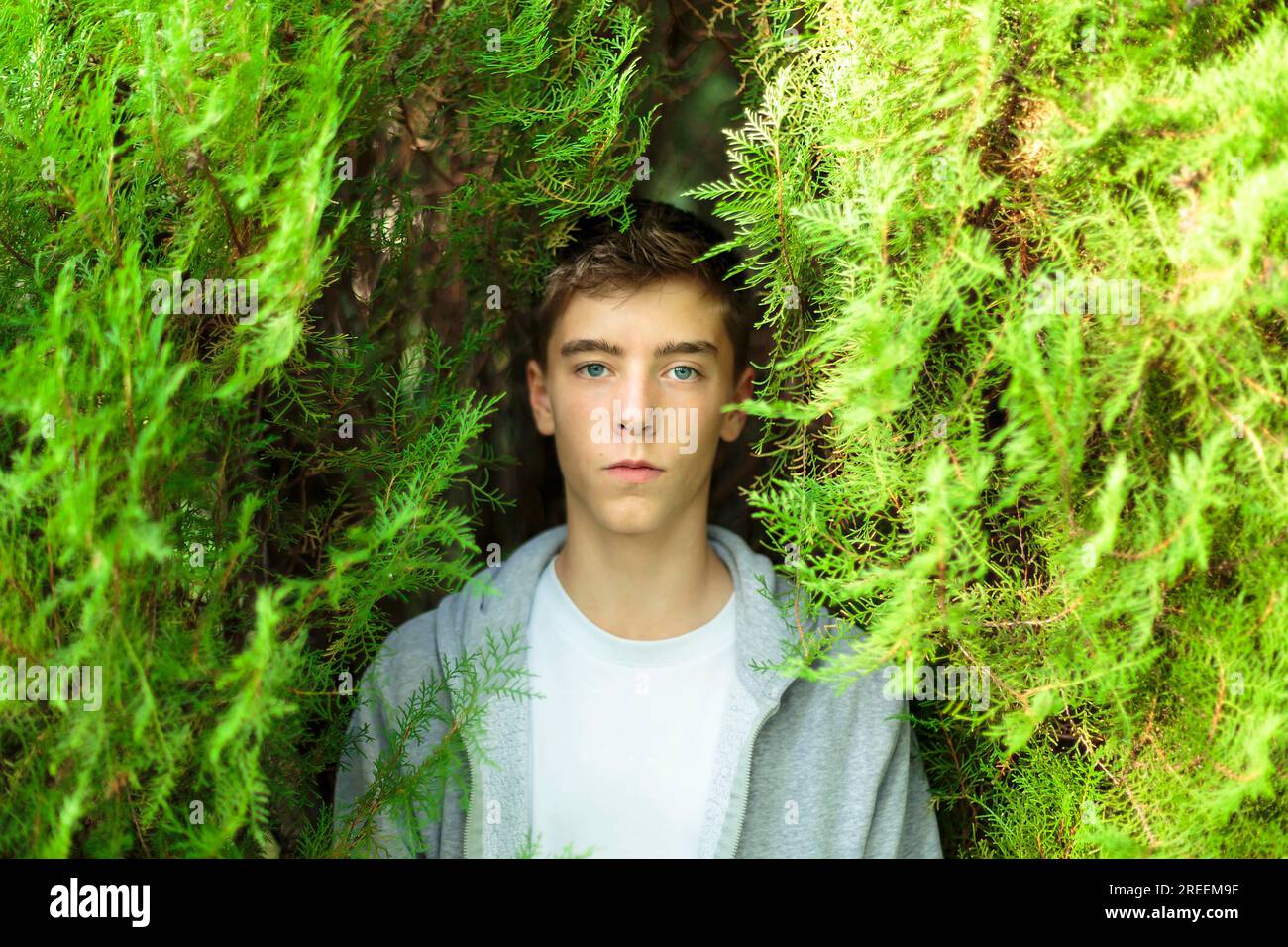 Portrait of a serious young man standing between two trees Stock Photo ...