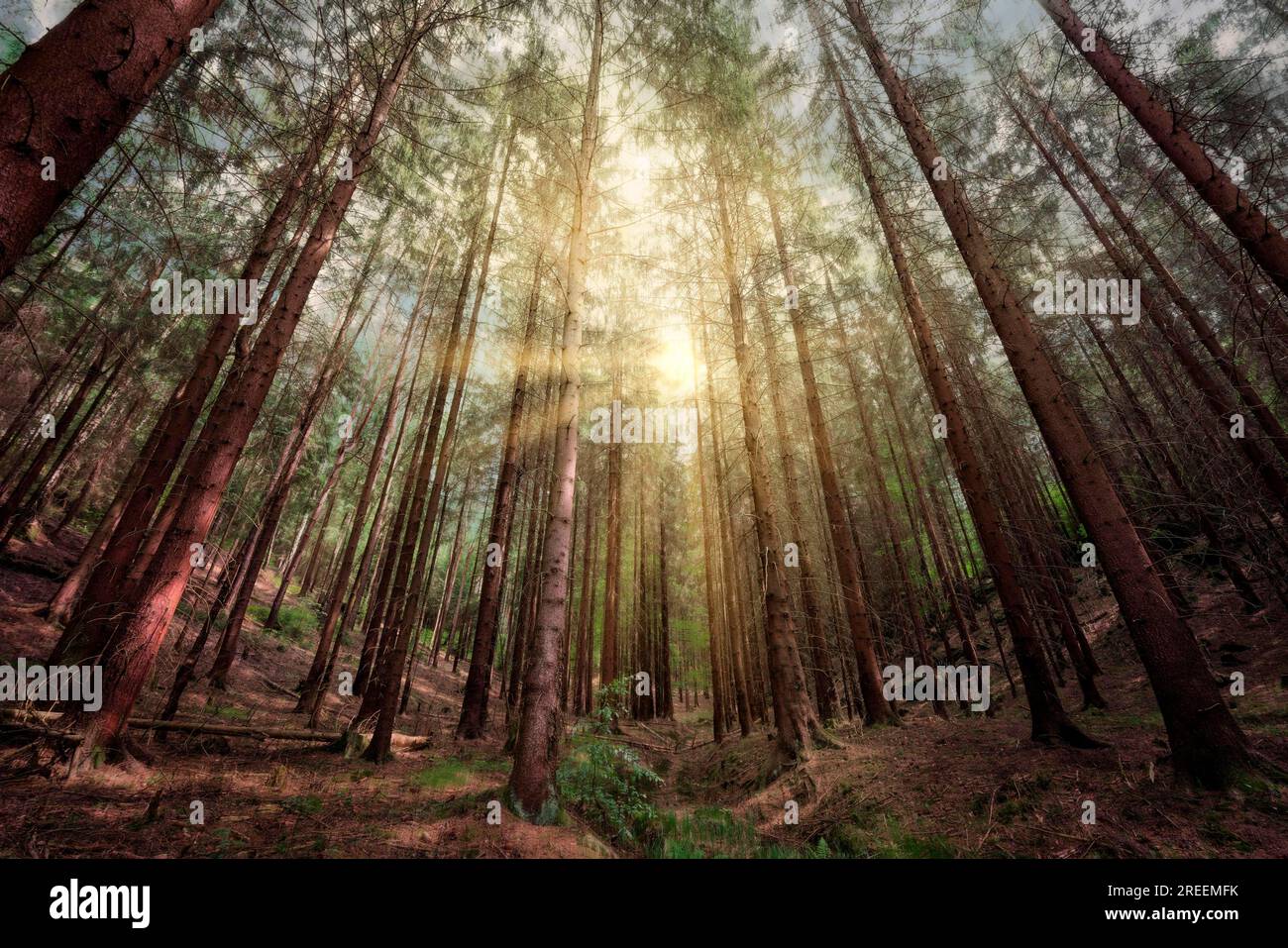 Deep setting hi-res stock photography and images - Alamy