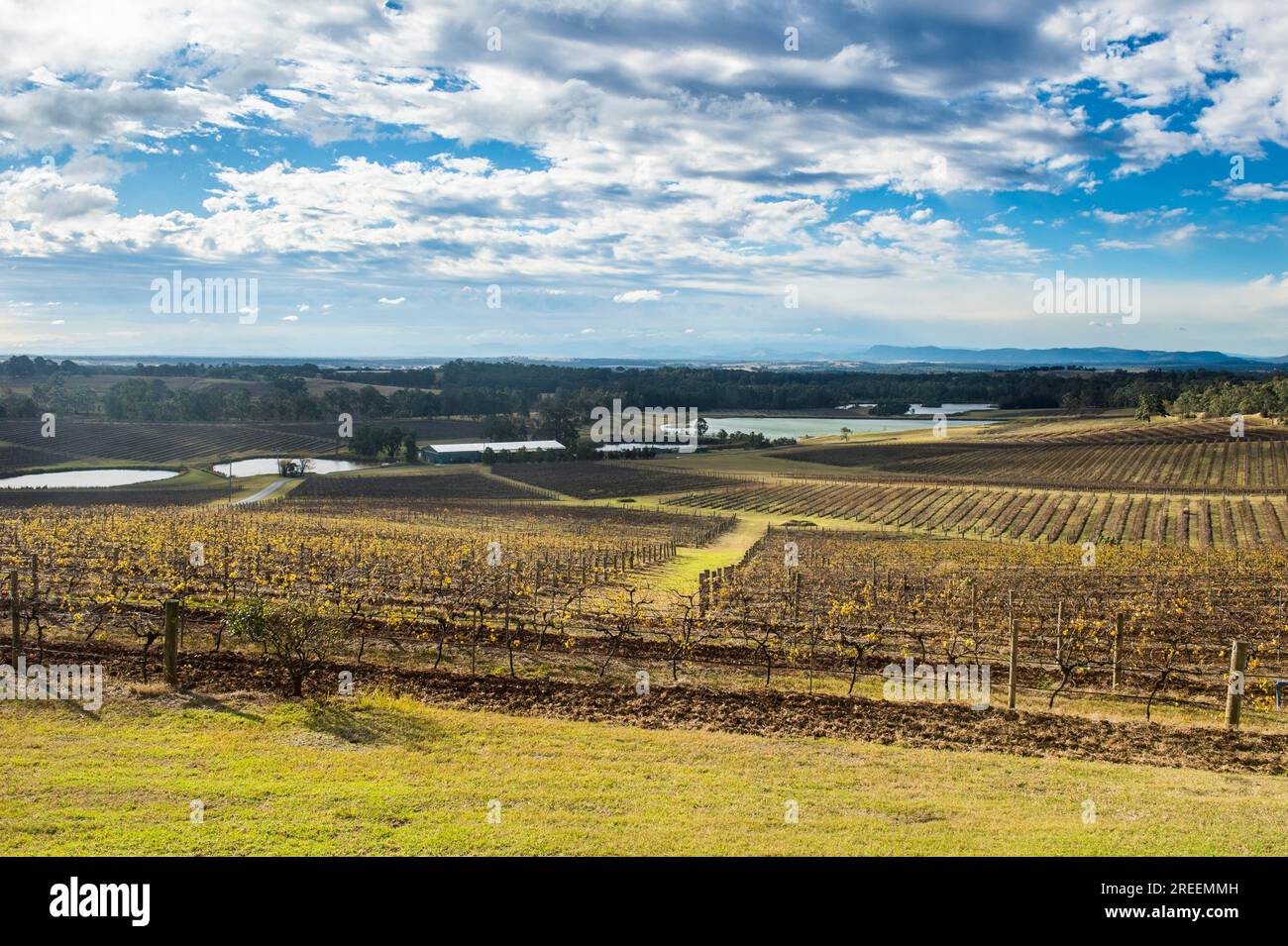 Australian hunter valley hi-res stock photography and images - Alamy