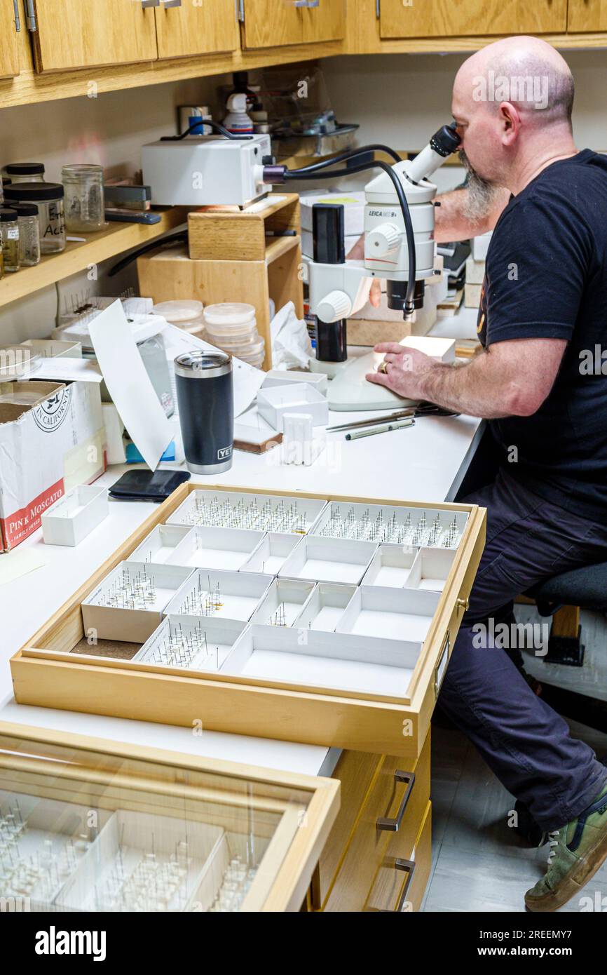 Athens Georgia,University of Georgia school campus,Georgia Museum of ...