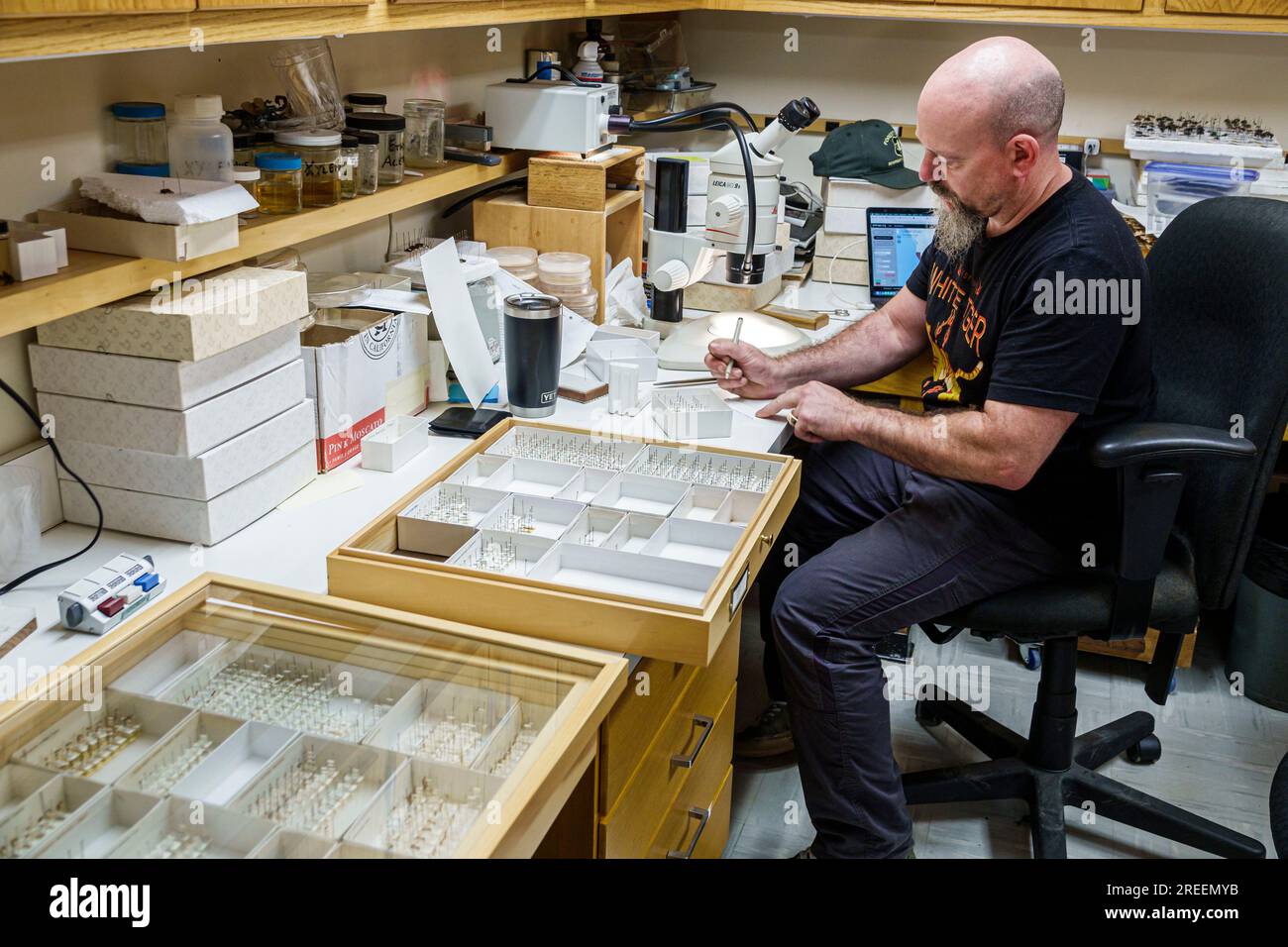 Athens Georgia,University of Georgia school campus,Georgia Museum of ...