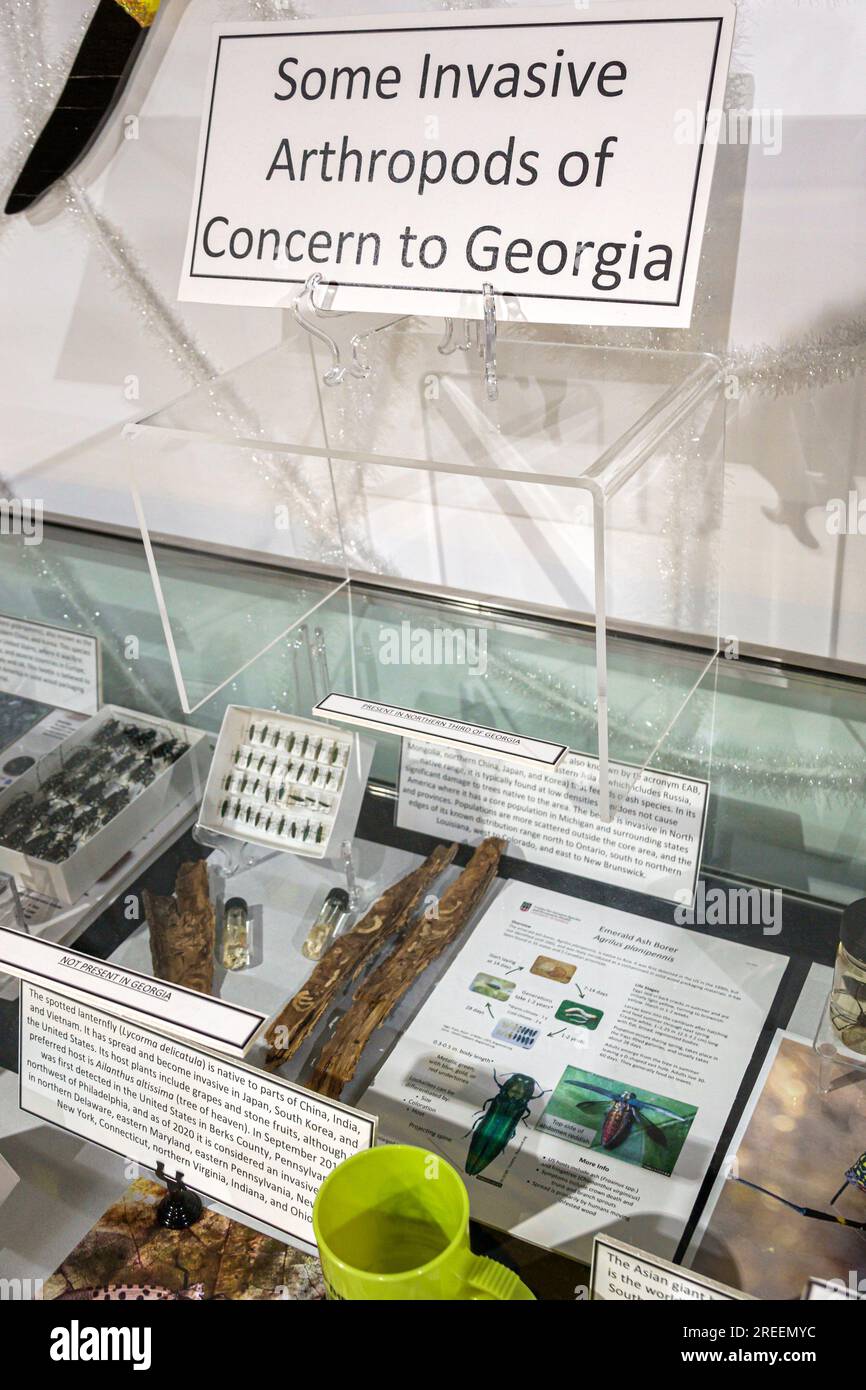 Arthropods Discovered Georgia