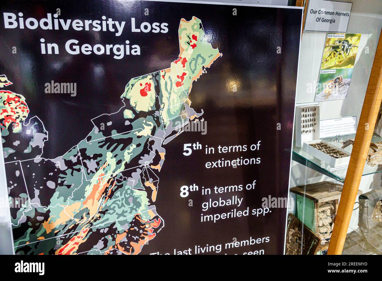 Species biodiversity loss extinctions map hi-res stock photography and ...