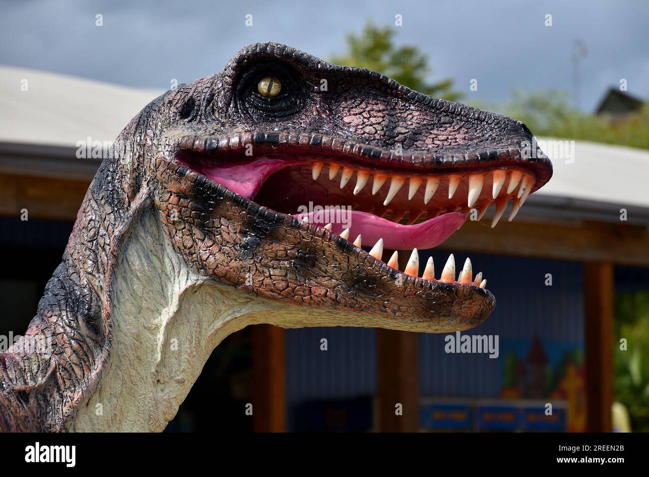 Crealy fun park hi-res stock photography and images - Alamy