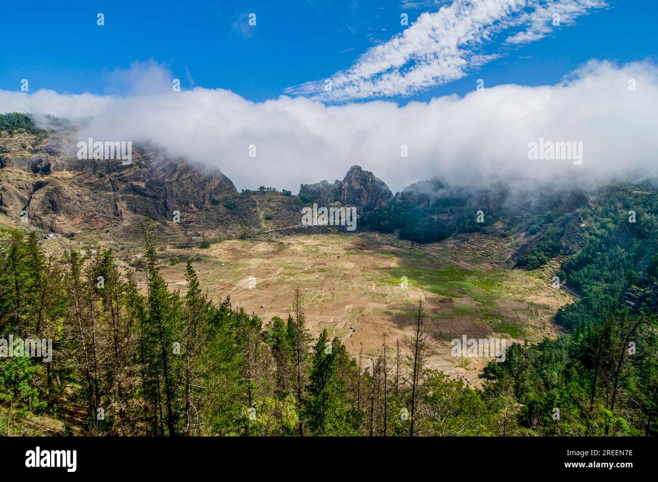 Rock vegetation, trees and dust on island San Antao. Cabo Verde. Africa ...