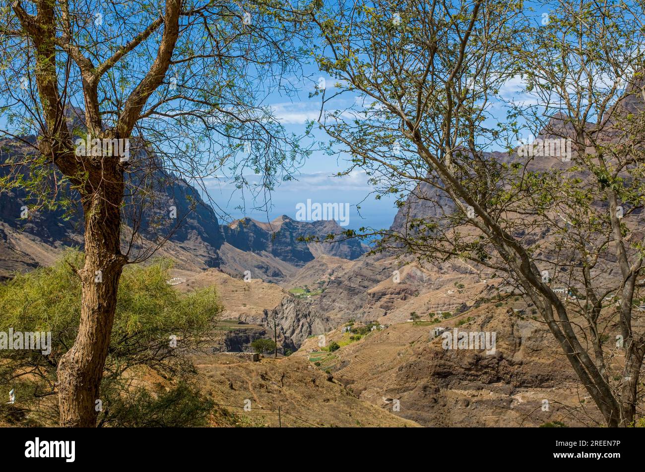 Trees is rocky landscape. San Antao. Cabo Verde. Africa Stock Photo - Alamy
