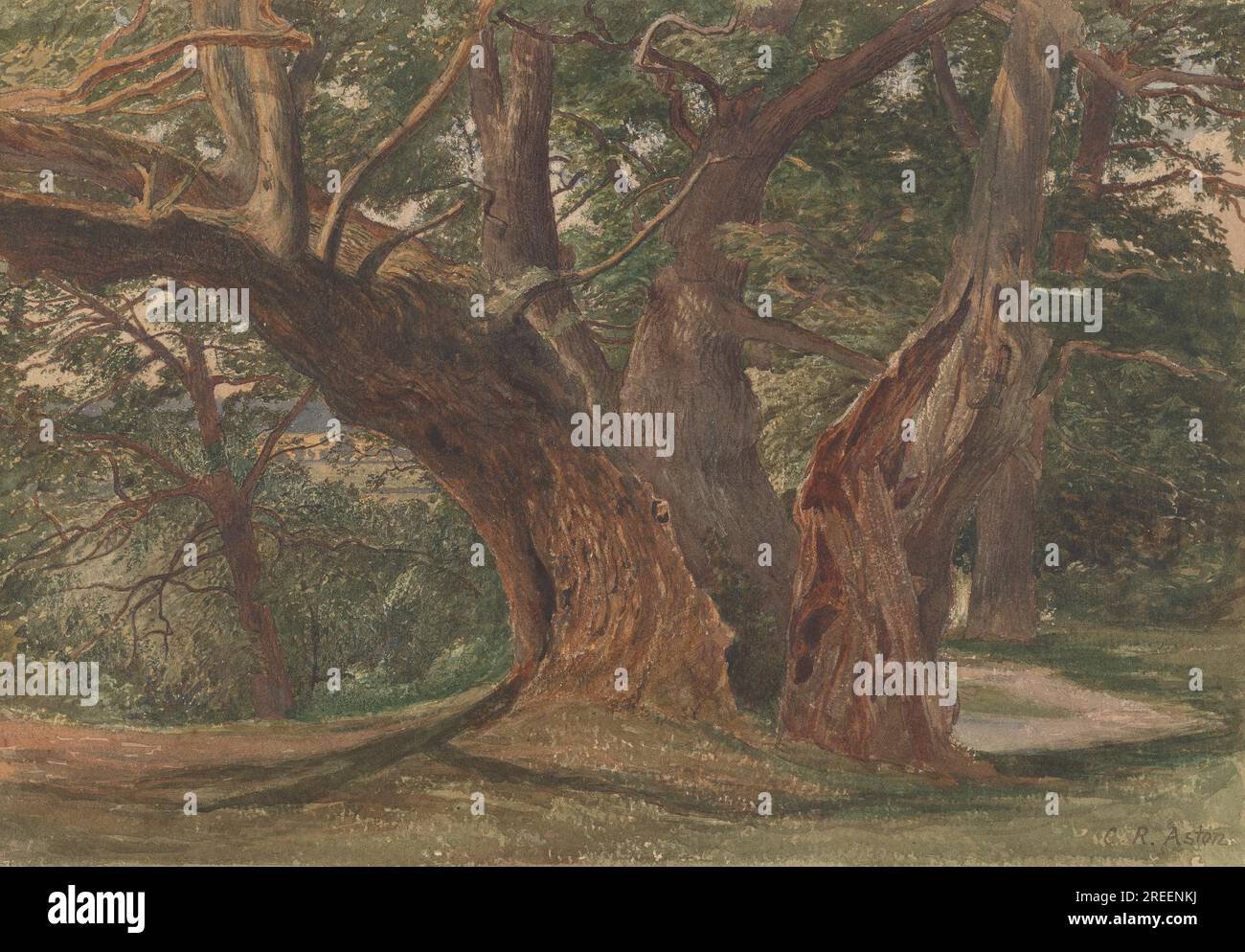 Trees in a Landscape by Charles Reginald Aston Stock Photo - Alamy