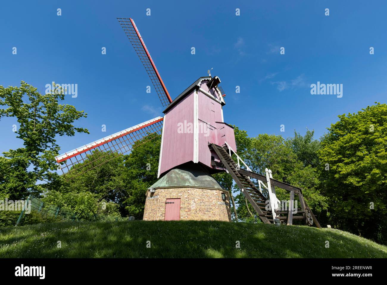 New parrot windmill hi-res stock photography and images - Alamy