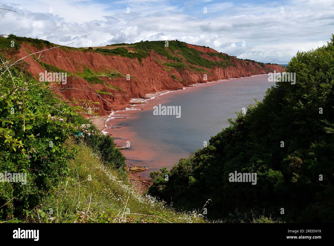 Haven devon cliffs hi-res stock photography and images - Alamy