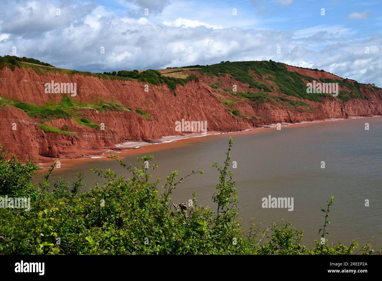 Sandy bay exmouth devon hi-res stock photography and images - Alamy