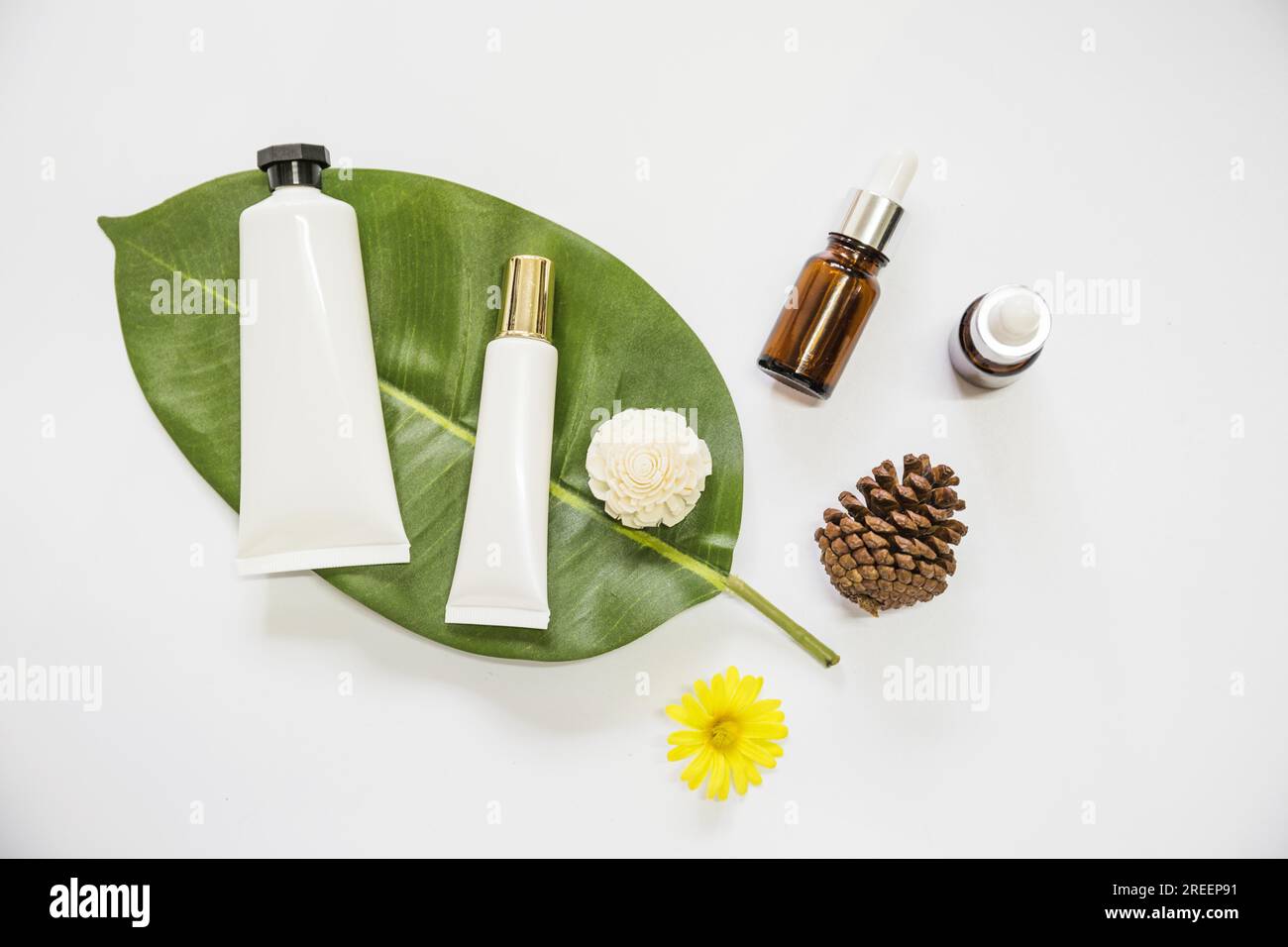 Spa cosmetics product leaf with essential oil pinecone flowers white ...
