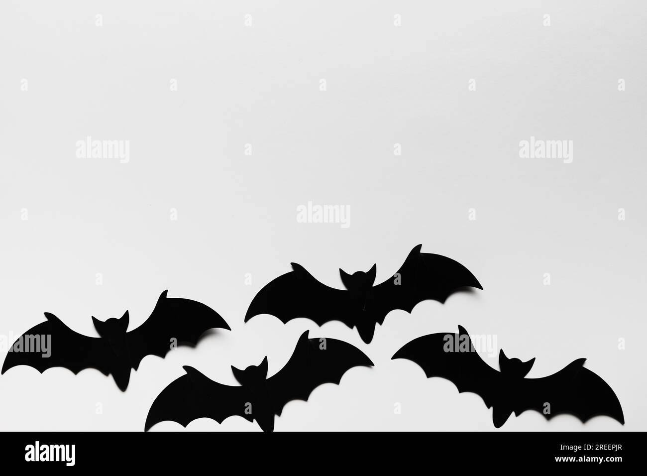 Top view frame with bats copy space. Resolution and high quality ...
