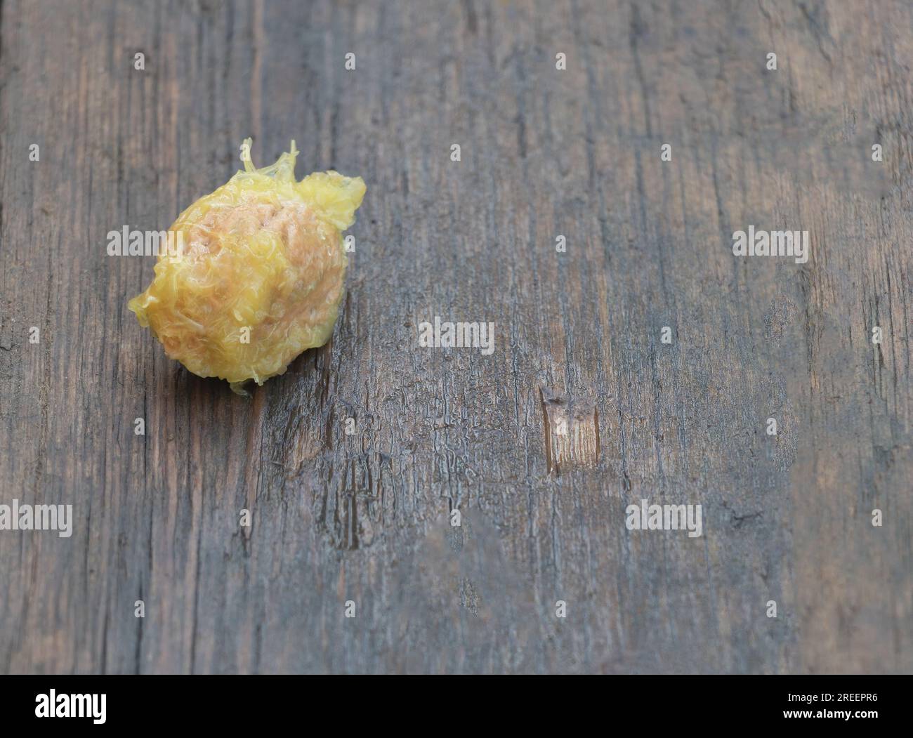 Peach pit hi-res stock photography and images - Alamy