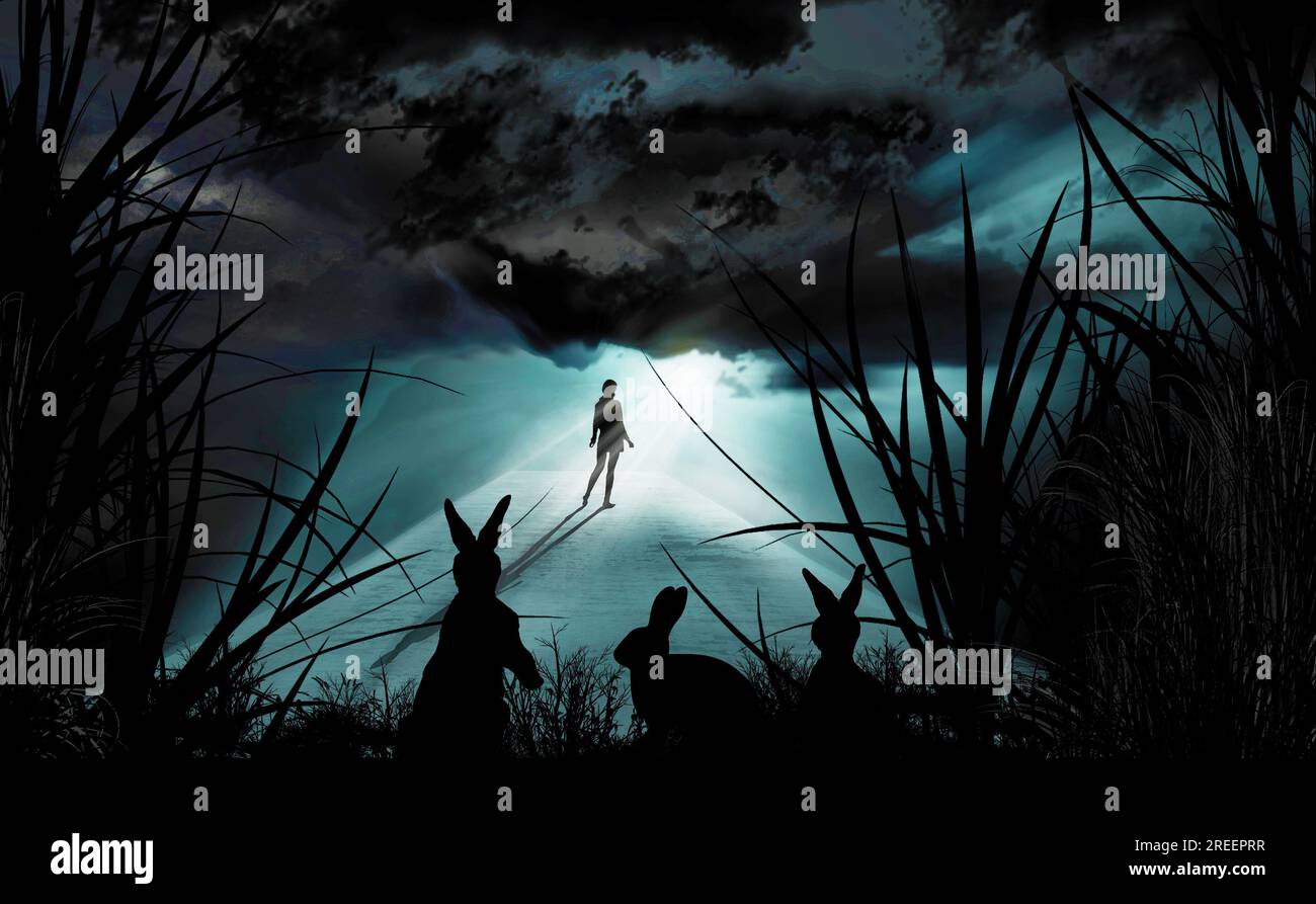 Alice in wonderland the rabbits hole hi-res stock photography and ...