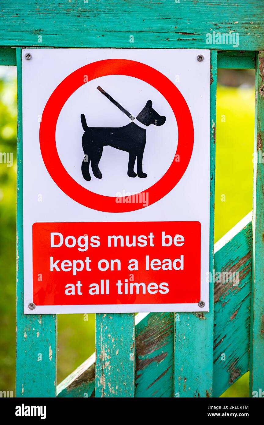 Warning information sign Dogs must be kept on a lead at all times ...