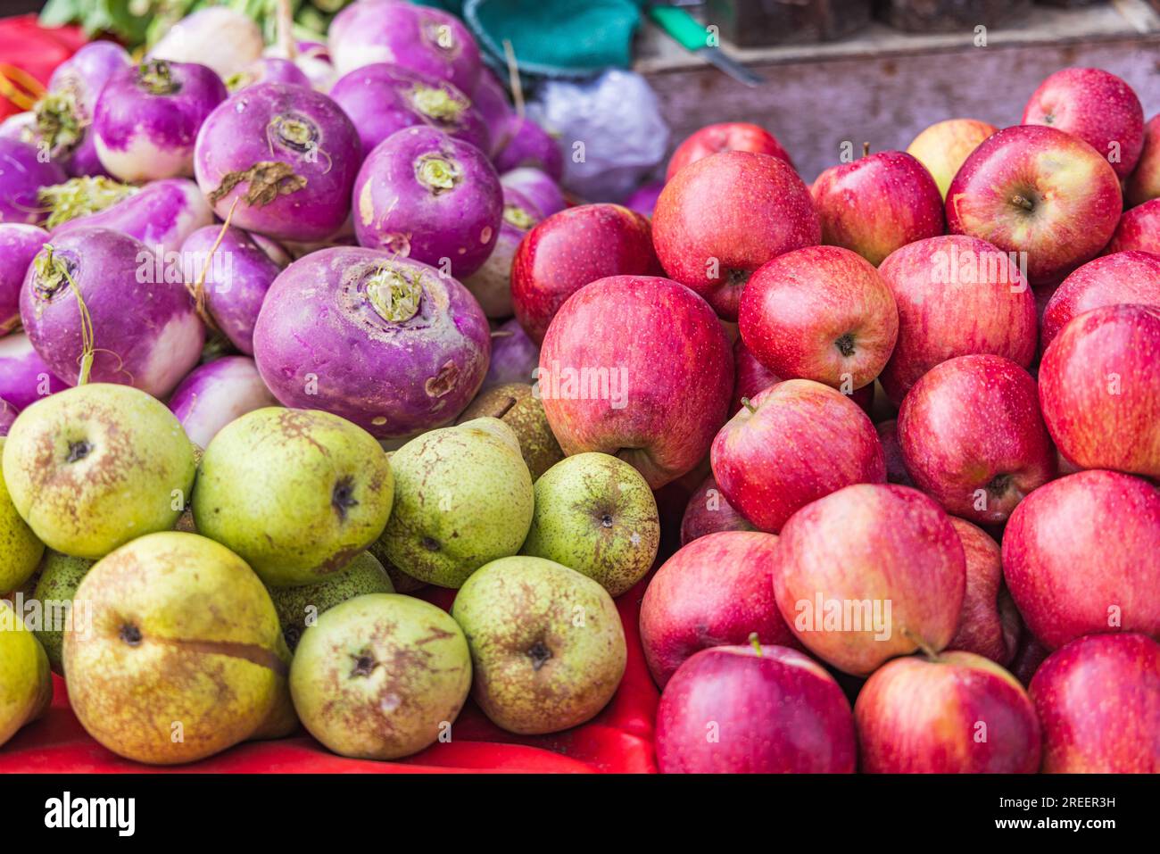 Berna Bugh, Kangan, Jammu and Kashmir, India. Purple turnips, pears ...