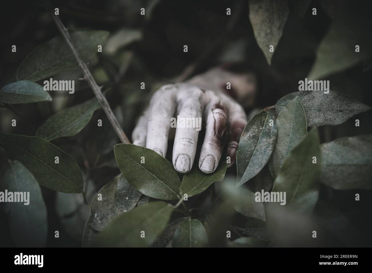Hand sticking grass Stock Photo - Alamy
