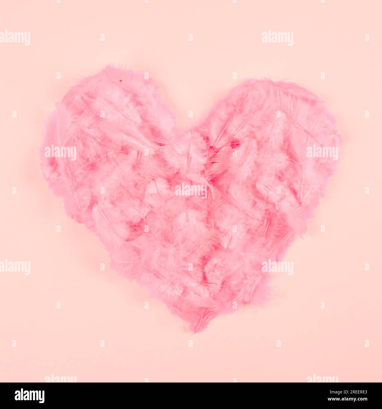 Soft peach colored background hi-res stock photography and images - Alamy