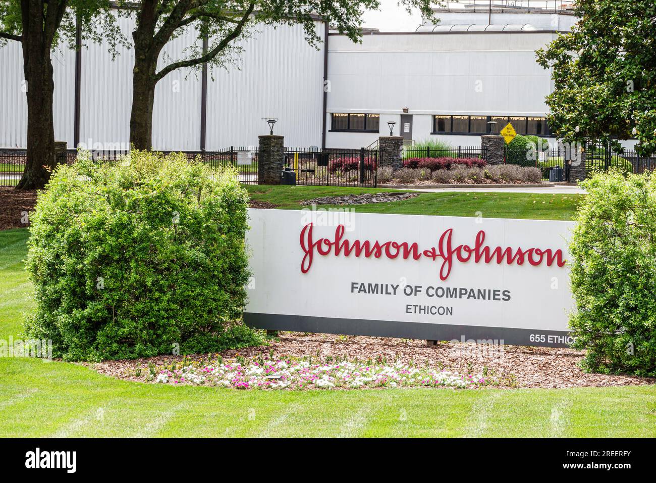 Surgical suture hi-res stock photography and images - Alamy