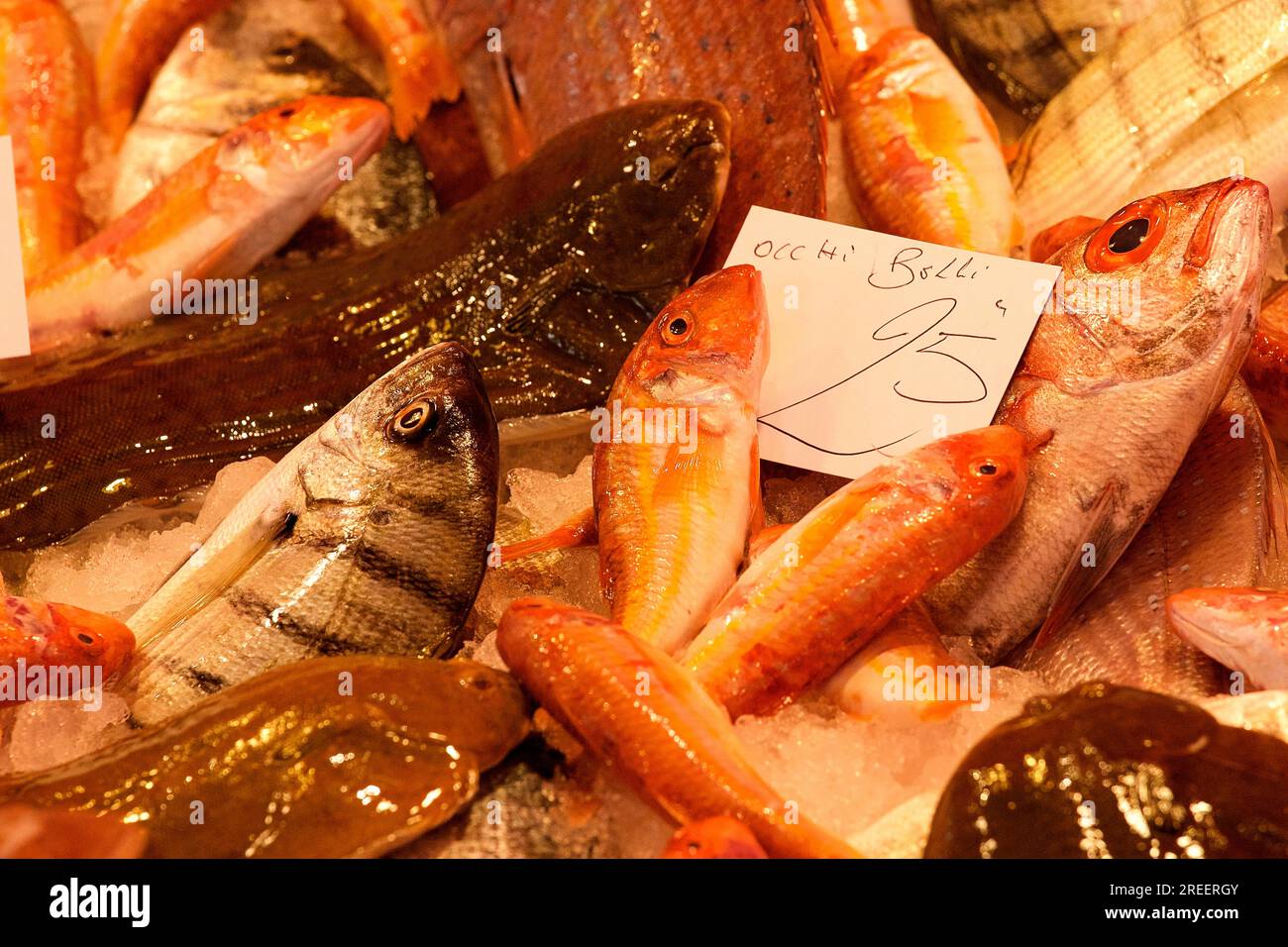 Various fish in display, detail, fish market, Catania, Old Town ...