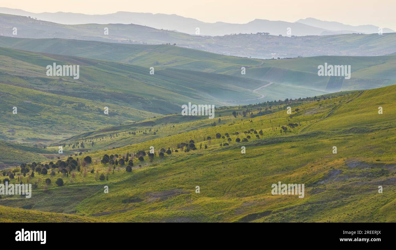 Fog, mountains, trees, green hills, fields, Madonie National Park ...