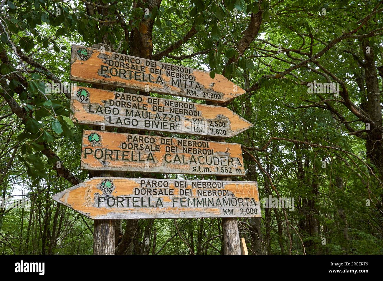 Wooden signs in the national park, four signs on top of each other ...