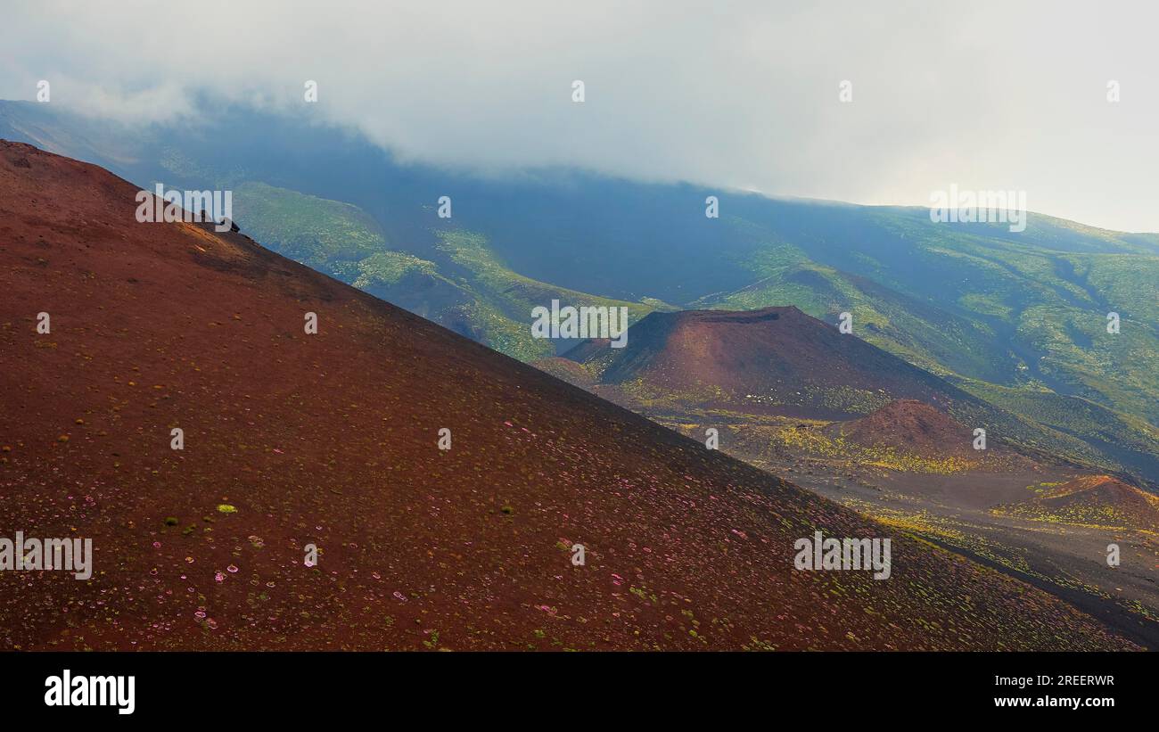 Red-brown small crater, green slopes, red slope, Crateri Silvestri ...