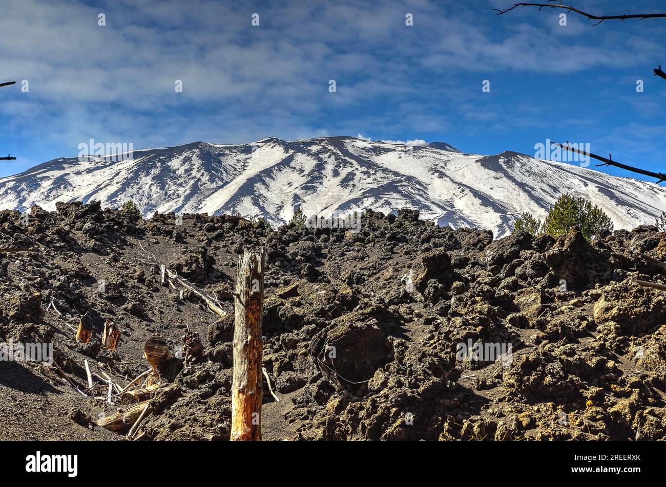 Snow-capped peaks, trees, wall of lava rubble, Etna, volcano, eastern ...