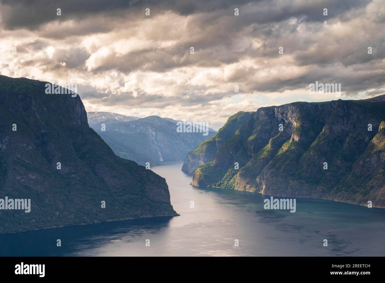 Narrow Fjord, Sognefjord, Norway Stock Photo - Alamy