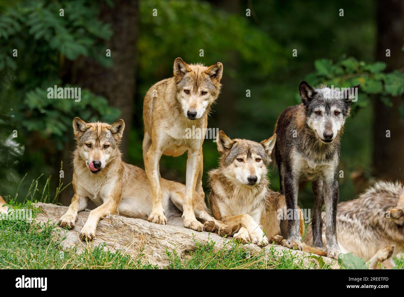 American hill hi-res stock photography and images - Alamy
