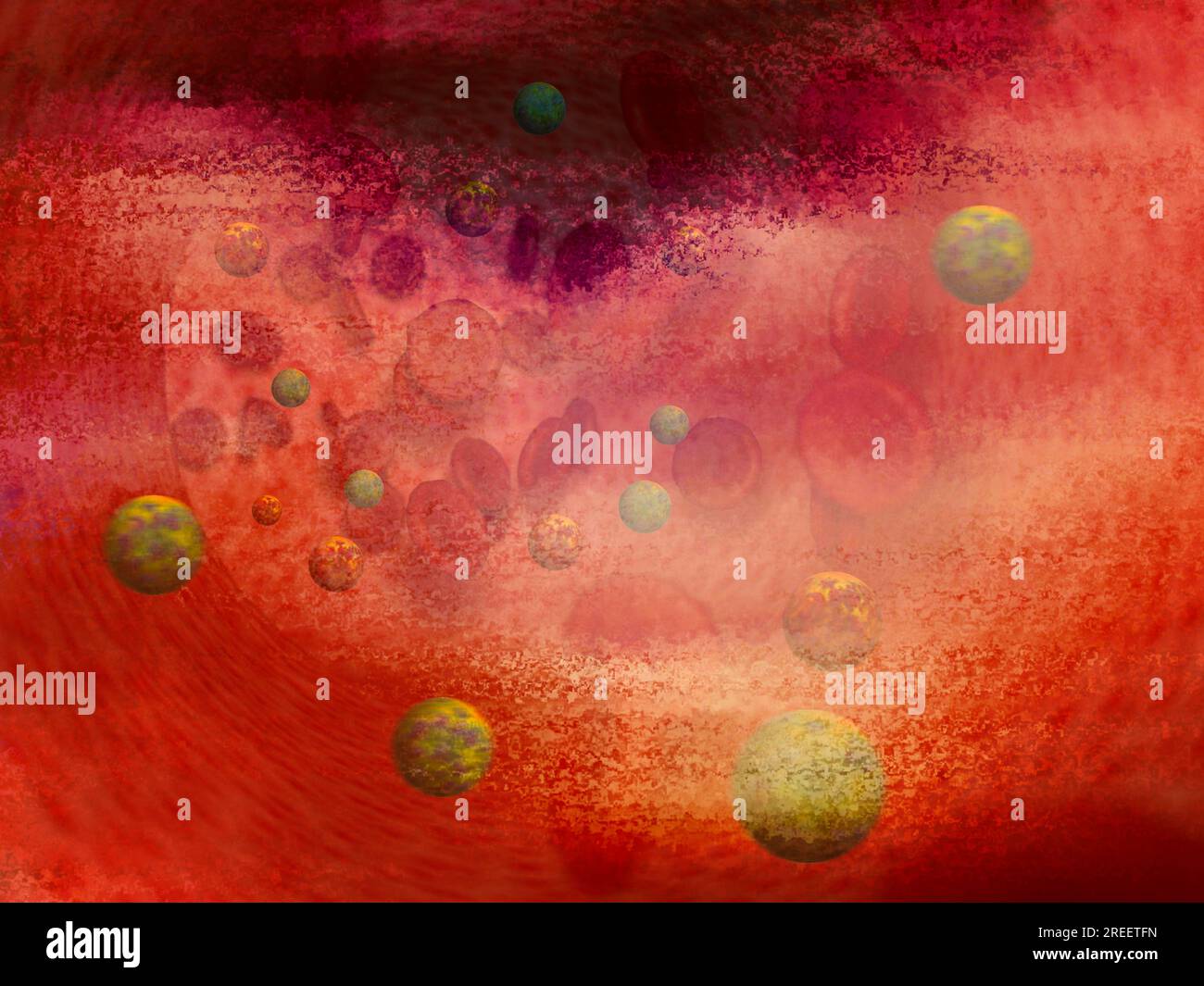 Cholesterol is an important raw material for the human body: it is ...